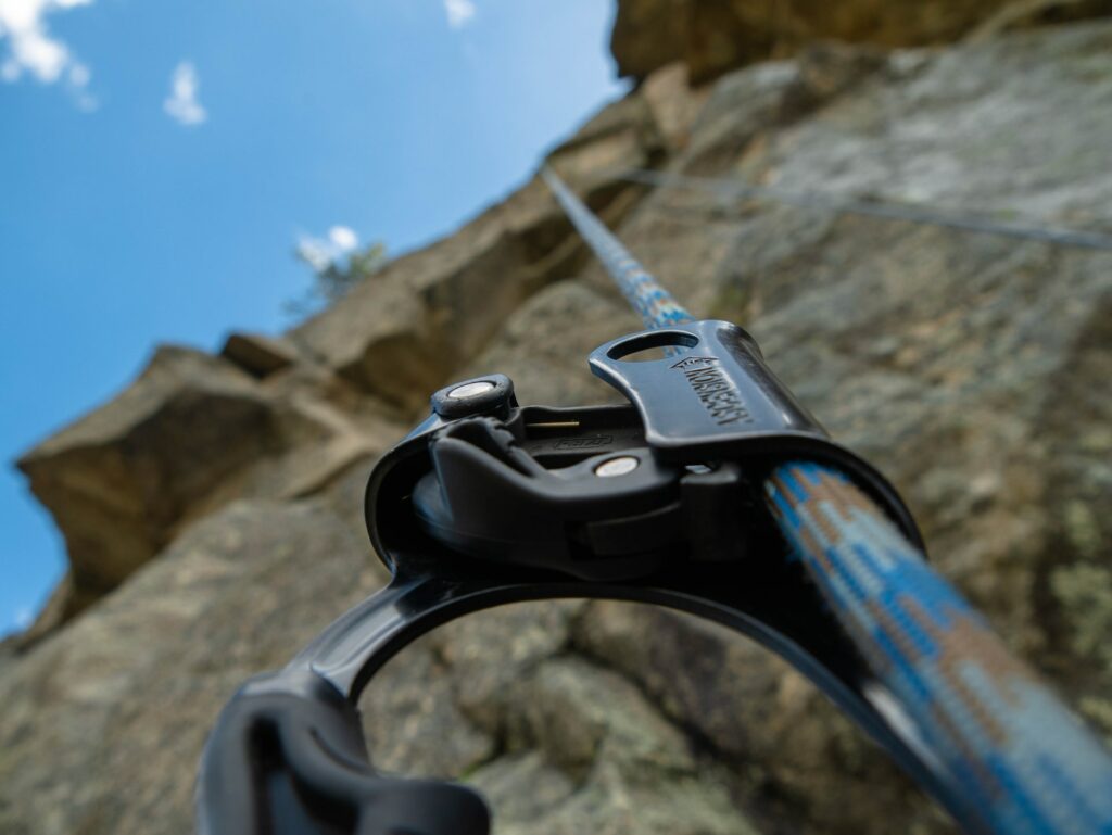 What is the difference between ascender and descender - Difference Digest